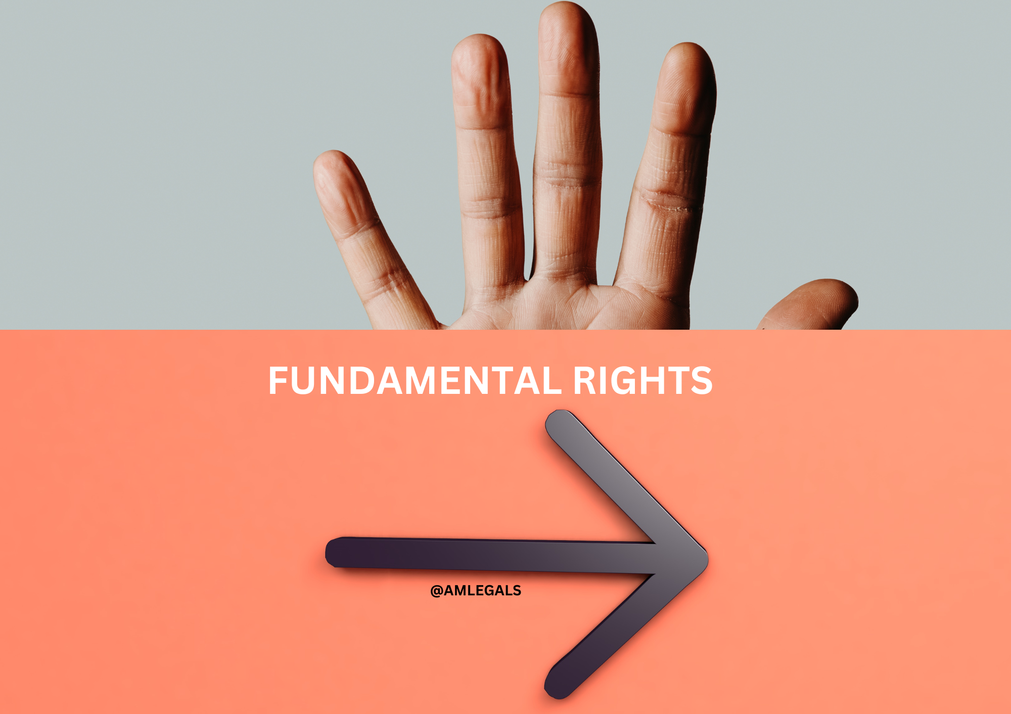 Fundamental rights under Article 19 or 21 of the Constitution of India ...