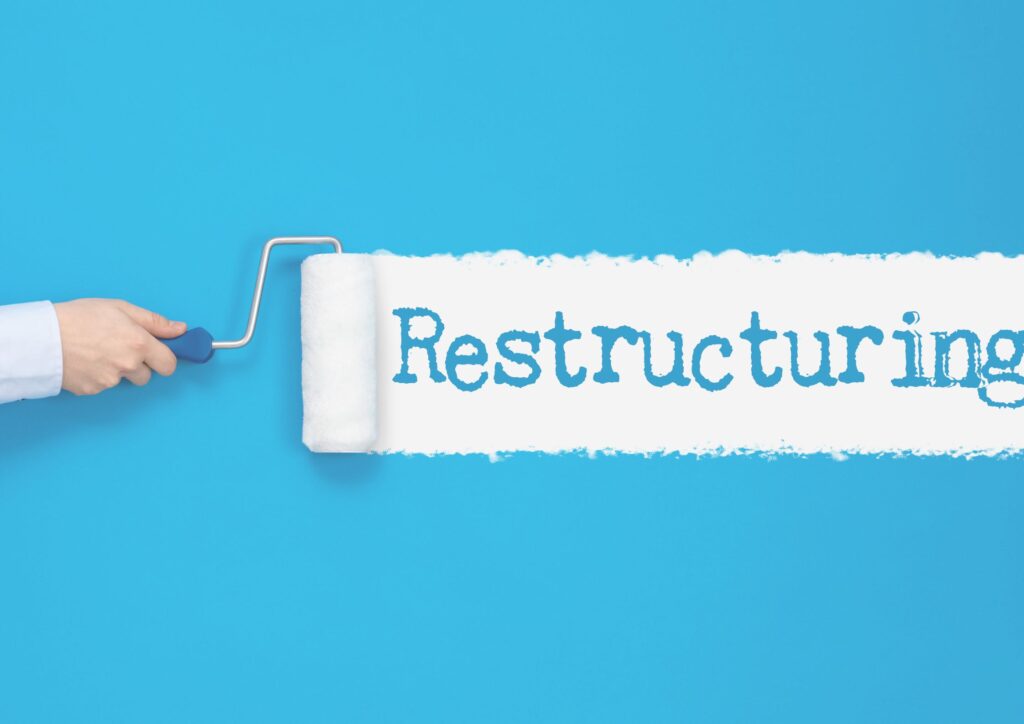 Resolution Professional Mechanism under IBC does not infringe upon the ...